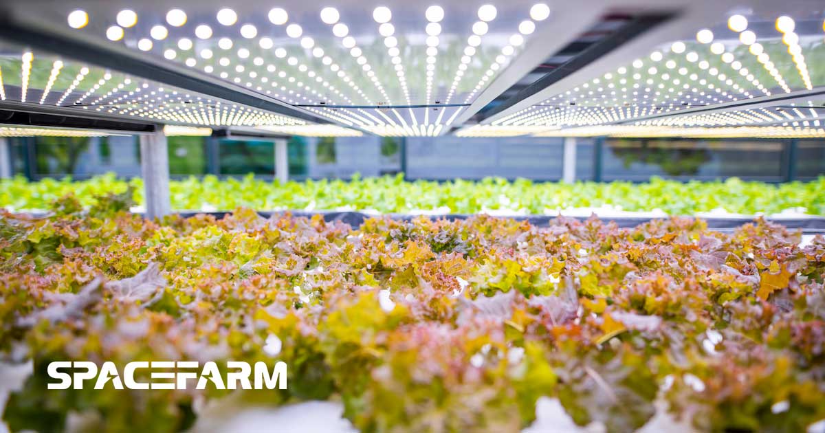 Spacefarm - aeroponic and hydroponic vertical farms around the world ...
